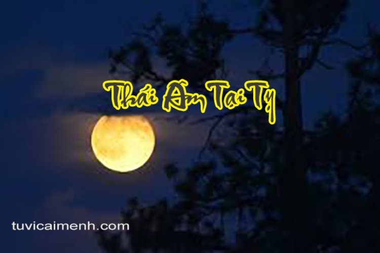 Luận Giải Ý Nghĩa Thái Âm Tại Tỵ - Nhật Nguyệt Phản Bối Chi Tiết Nhất ...