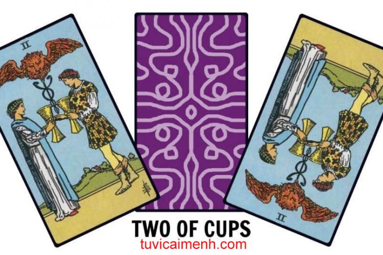 Lá Bài Two of Cups - Ý Nghĩa Tình Yêu, Sức Khỏe và Sự Nghiệp ...